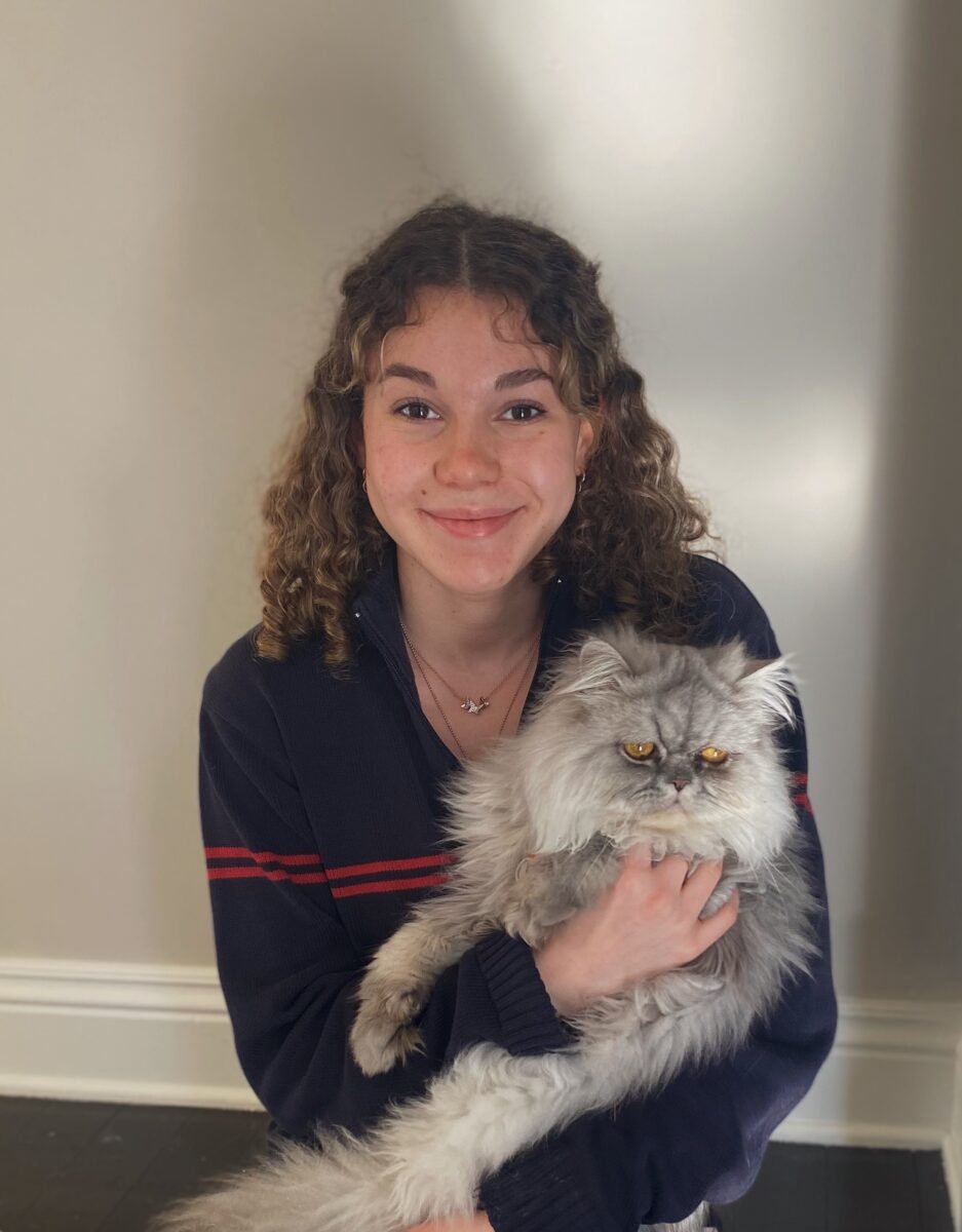 Our staff – Clinique Vétérinaire Harwood